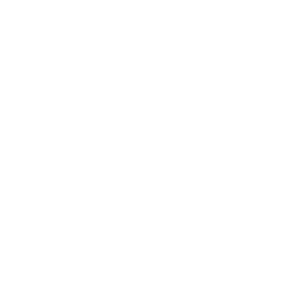 Services - Welch Group